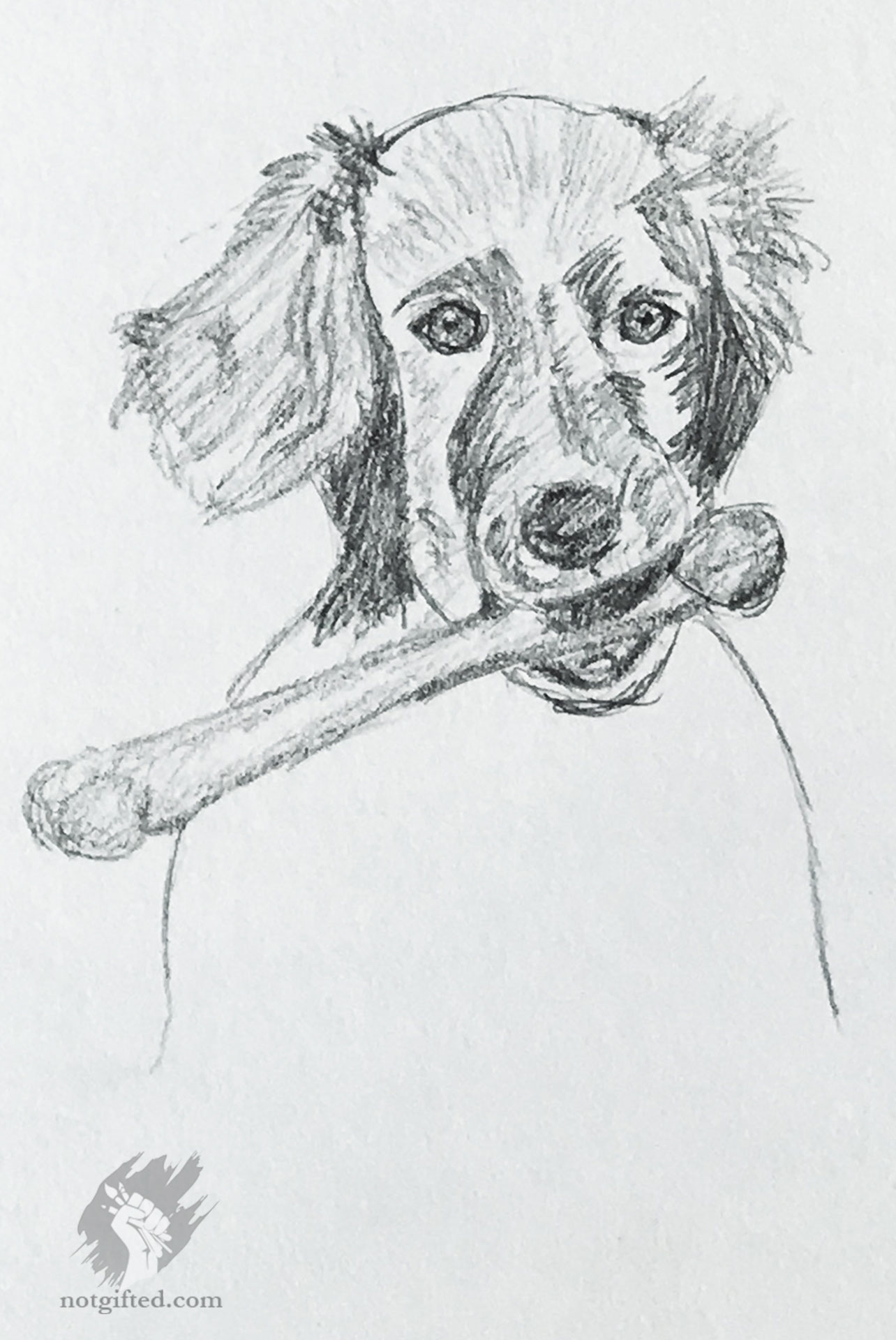 Dog and bone drawing - NotGifted